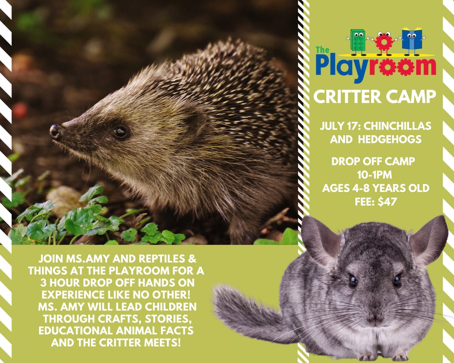 SOLD OUT: Critter Camps: Chinchillas & Hedgehogs - The Playroom